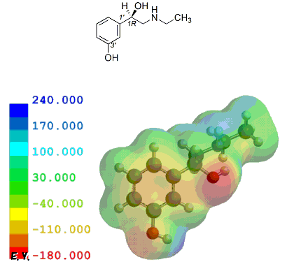 エチレフリン塩酸塩・遊離塩基（Etilefrine）: 医薬品分子モデリング勉強会