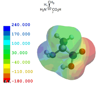 アラニン（L-Alanine）: 医薬品分子モデリング勉強会