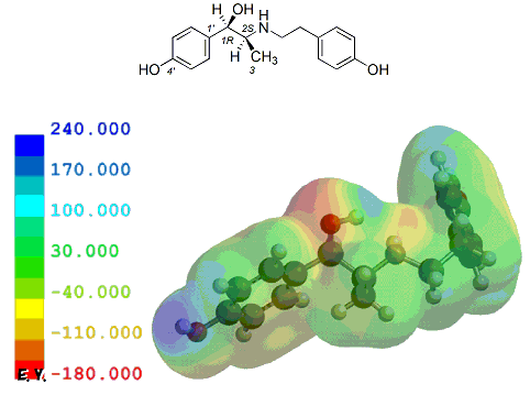 リトドリン塩酸塩・遊離塩基（Ritodrine）: 医薬品分子モデリング勉強会